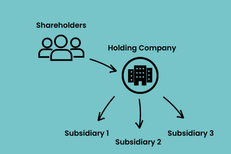 What is a Holding Company? | DH Business Support